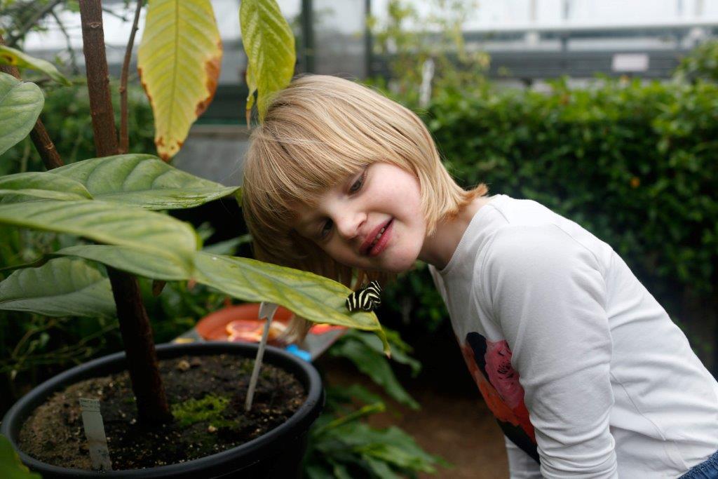 Diagnose Foetaal Alcohol Syndroom nog te vaak gemist - Vakblad Vroeg