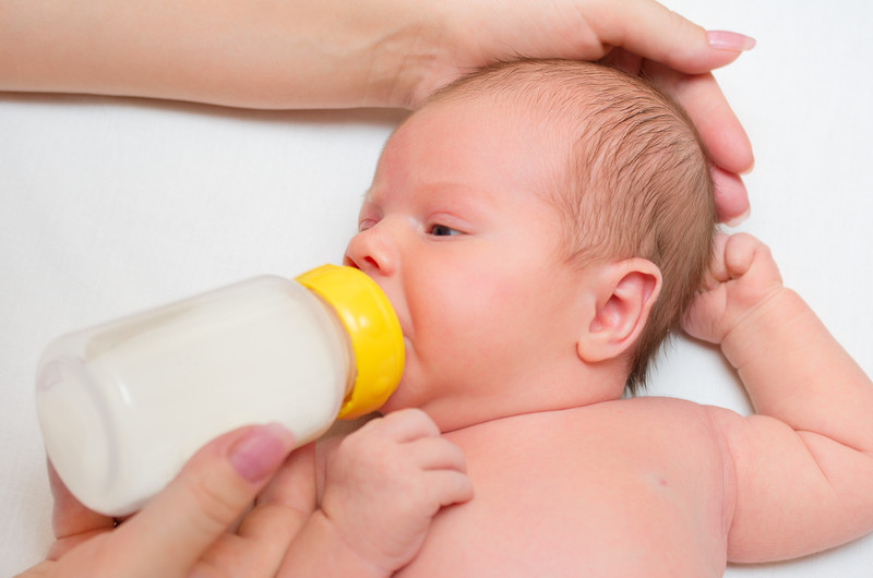 Alles over flesvoeden op een rij - Vakblad Vroeg